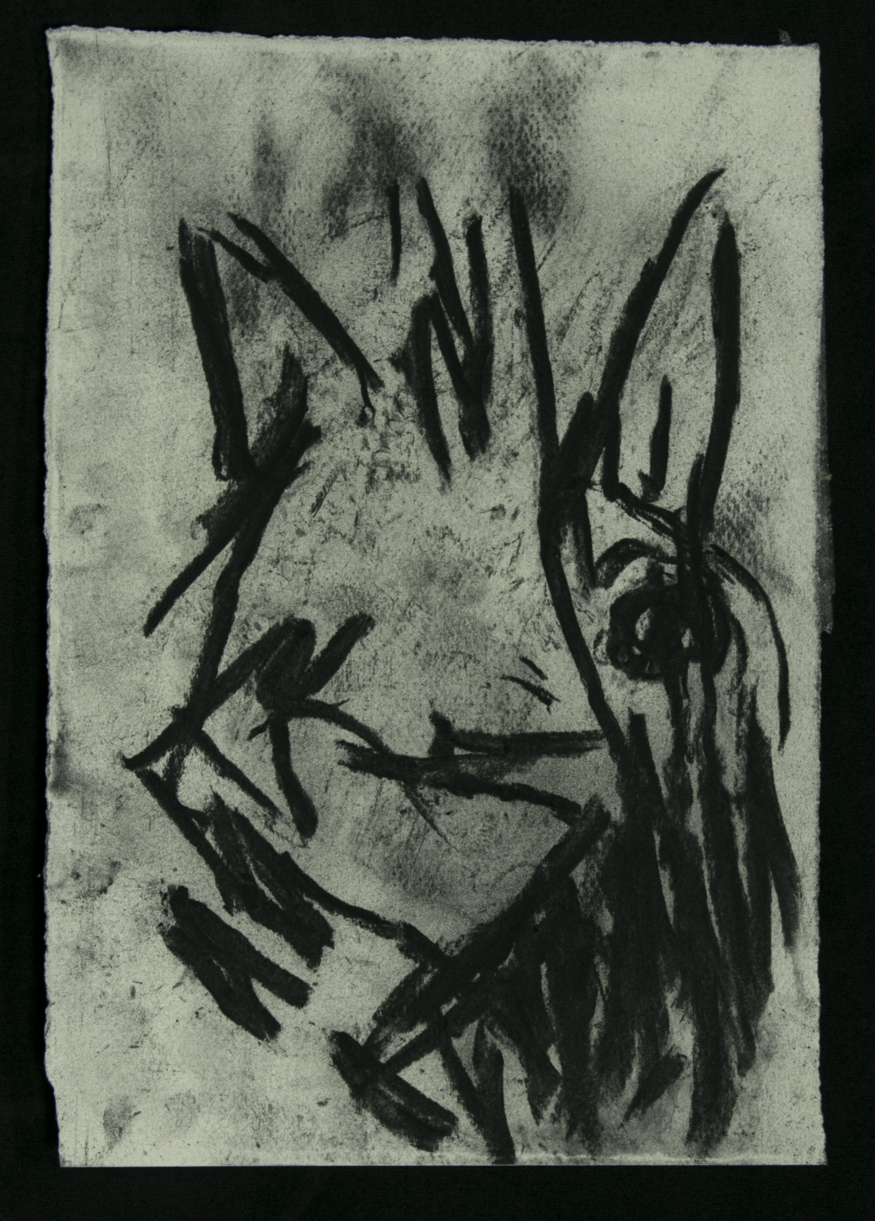 Cat – Walid El Masri